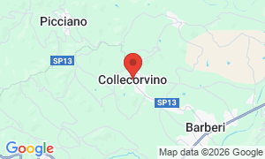 CONVENTO DI SAN PATRIGNANO | I Luoghi del Cuore - FAI